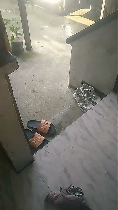 YA BETTER FETCH! - YouTube