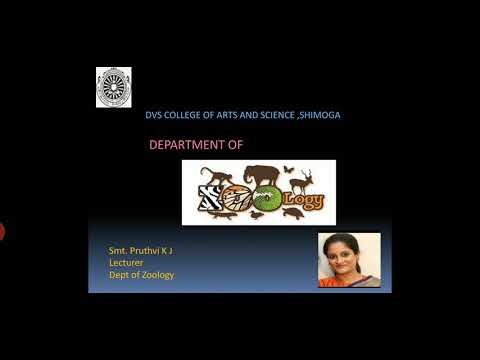 DVS college of Arts and science - YouTube