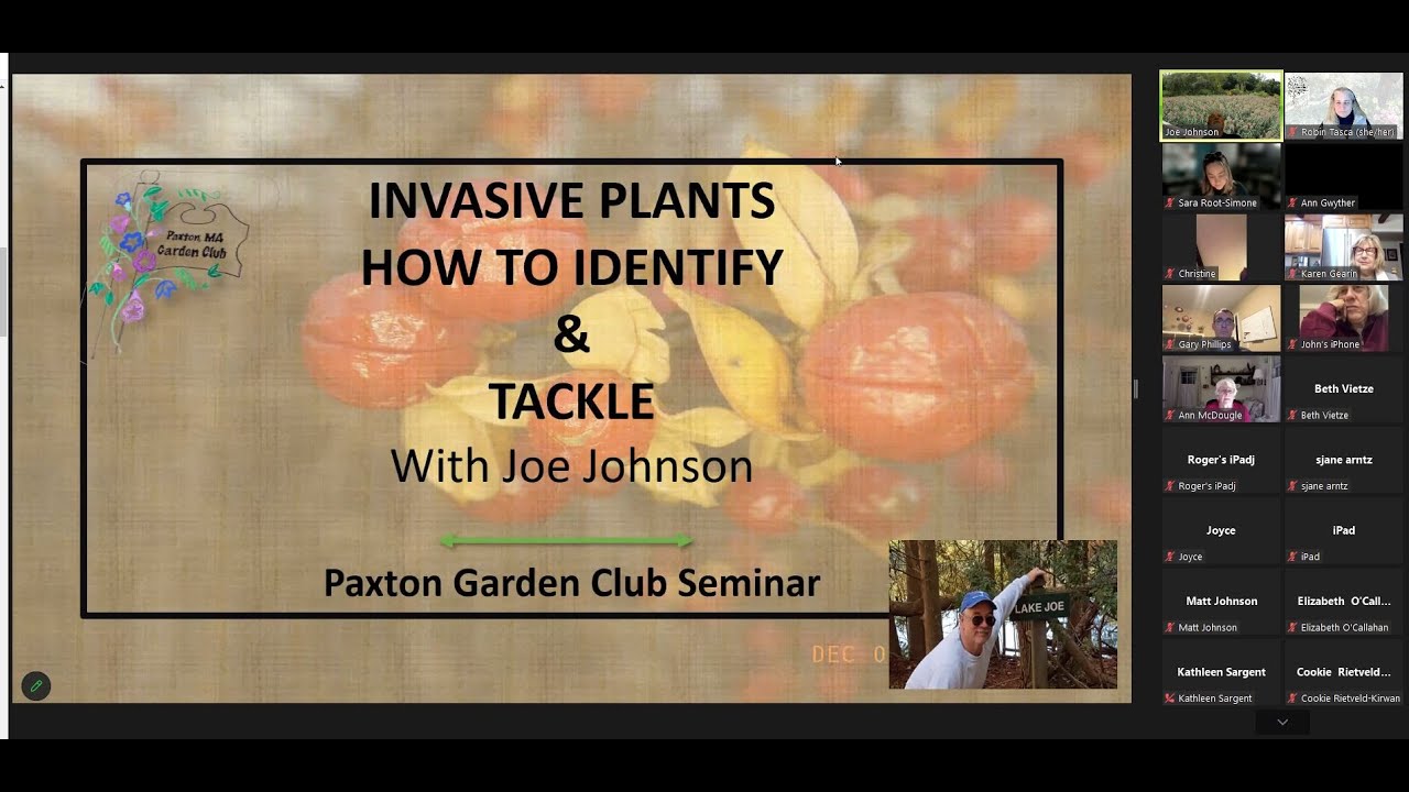 Invasive Plants: How to Identify & Tackle with Joe Johnson Presented by ...
