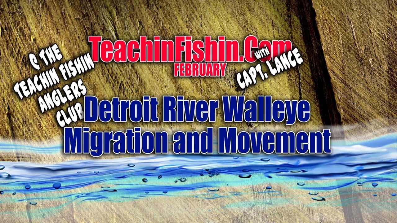Teachin Fishin, February Topic: Walleye Migration and Movement focus on ...