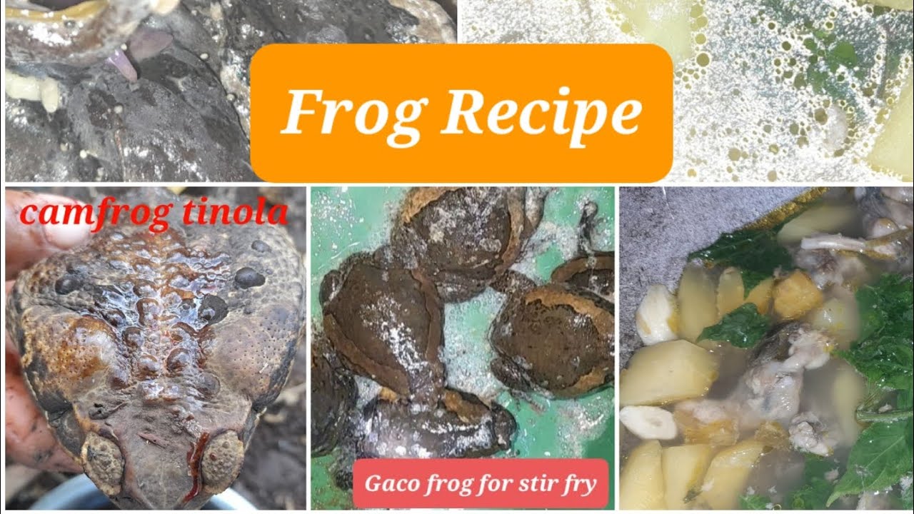 Frog recipe/ GACO frog ? the most Delicious frog of all time. #frogface ...