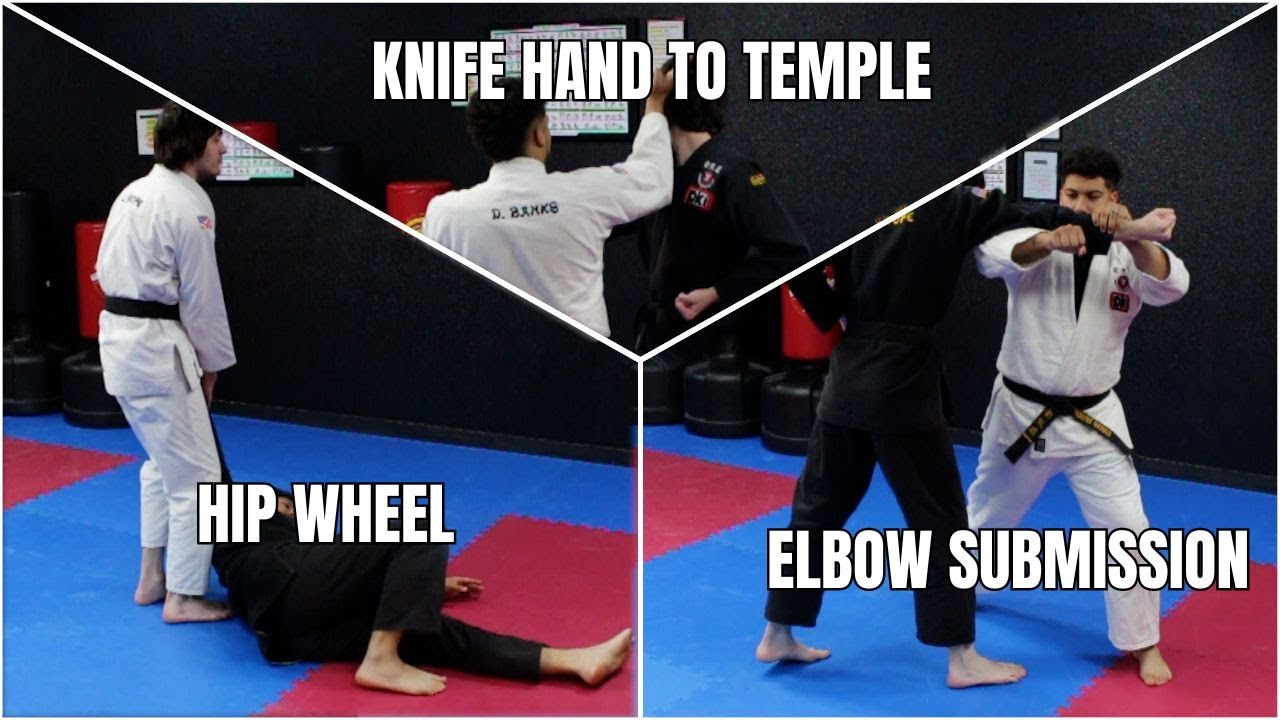 Ippon Self-Defense [Set 1 - Part 8] - YouTube