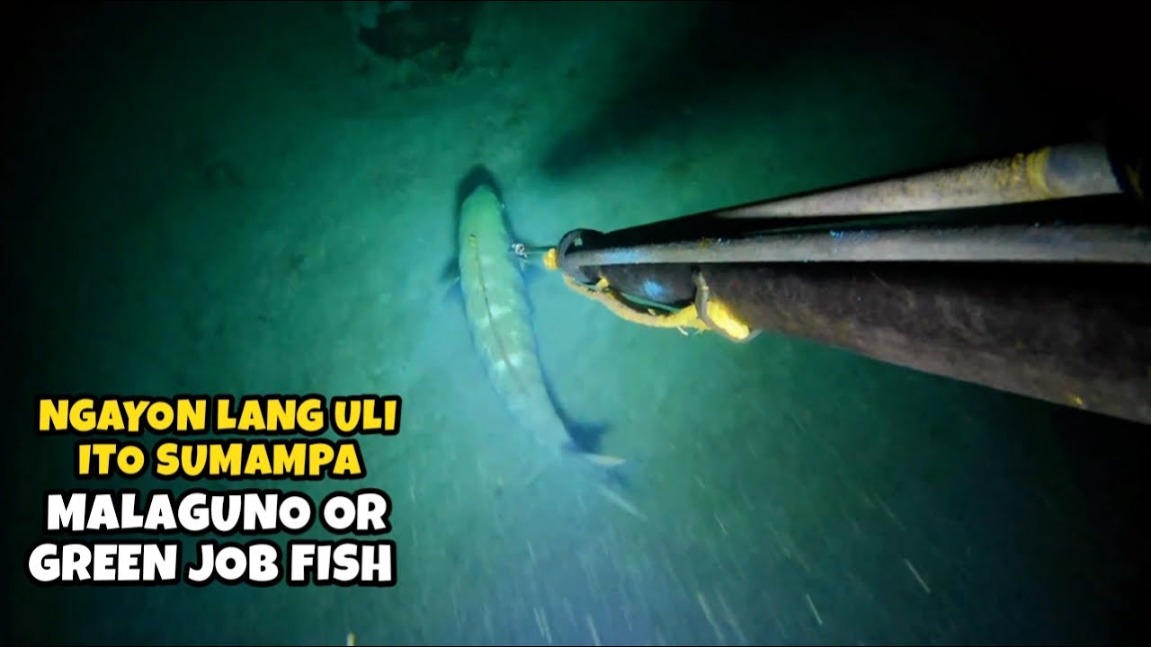 EP 378: NGAYON LANG ULI ITO SUMAMPA PUMALYA PA 😭 MALAGUNO OR GREEN JOB ...