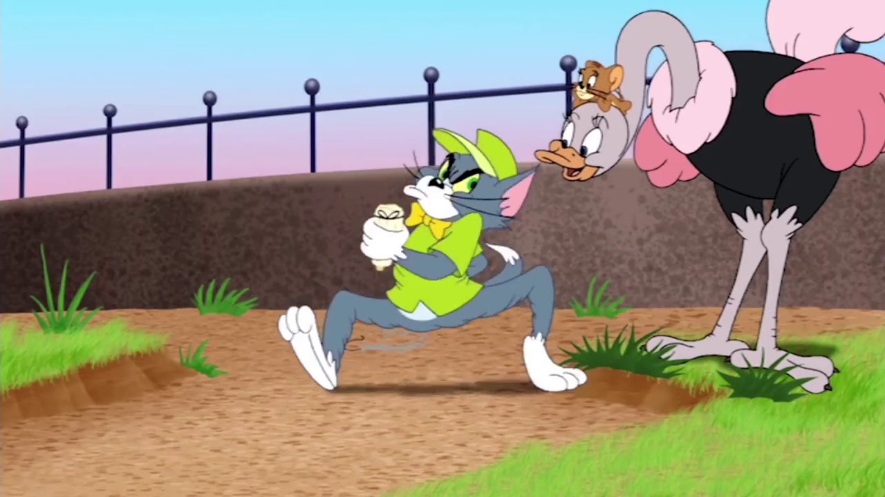 Tom Jerry Zoo Keeper Boomerang UK720P HD - YouTube