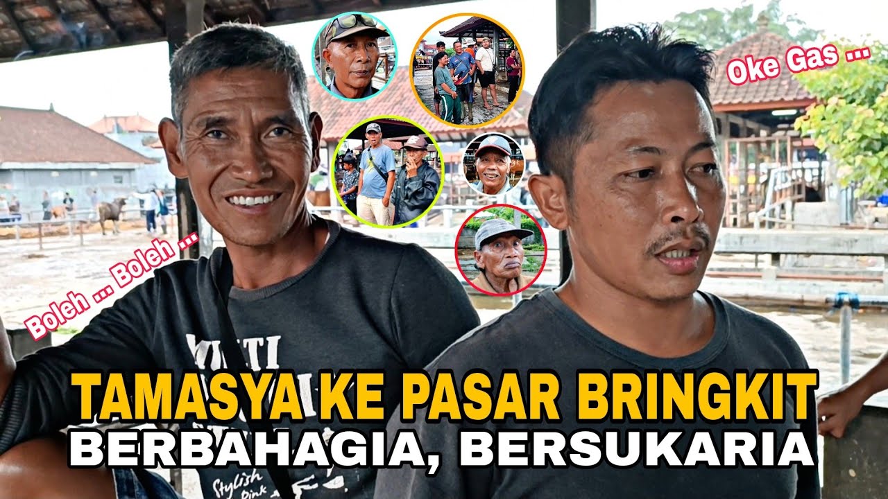REKAP LENGKAP AKTIVITAS DI PASAR SAPI TERBESAR DI BALI per 4 Februari ...