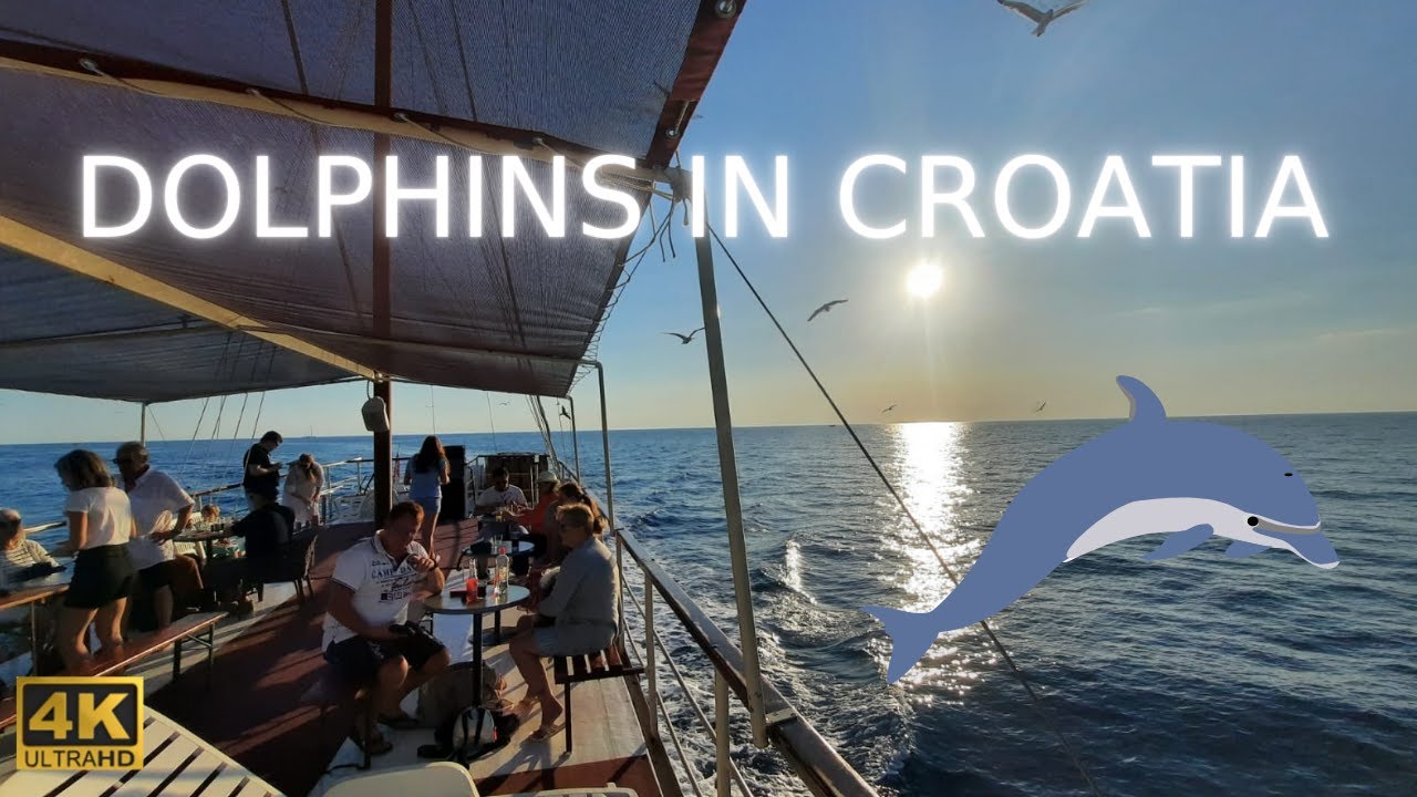 Dolphins in Croatia 🐬 Amazing Boat trip with dolphins and sunset (4K Video) - YouTube