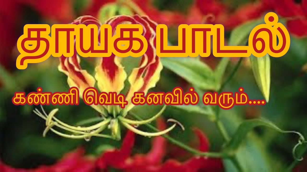 கண்ணி வெடி கனவில் வரும் | Kanni Vedi Kanavil Varathu ...