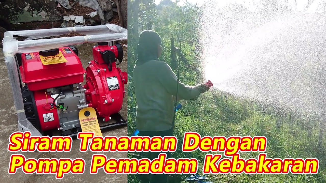 Menyiram Tanaman Menggunakan Pompa Pemadam Kebakaran Pro-Quip QFP200 ...