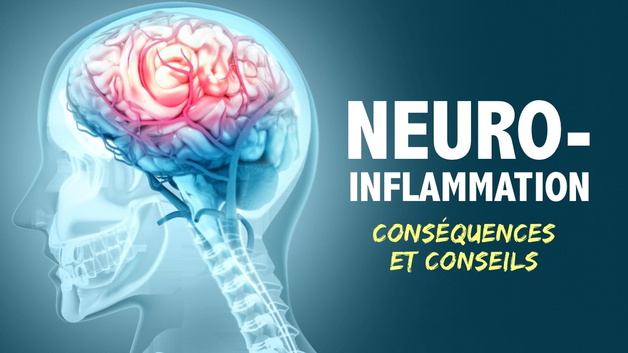 NEURO - inflammation: conséquences et conseils pour réduire le risque ...