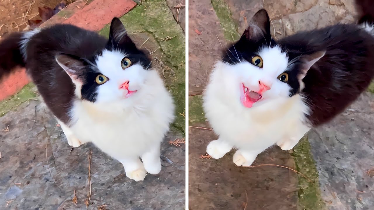 She has the Cutest & Sweetest Voice |4K - YouTube