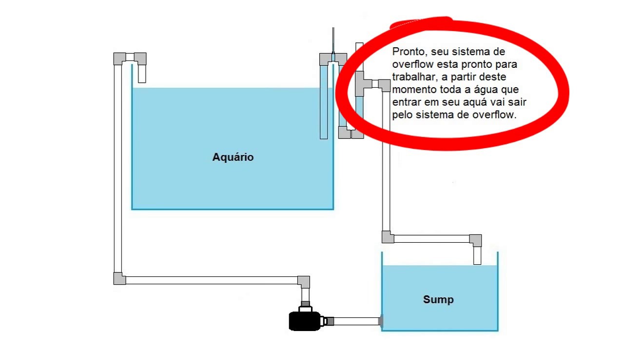 Overflow para aquario Funcionamento baixo custo - YouTube