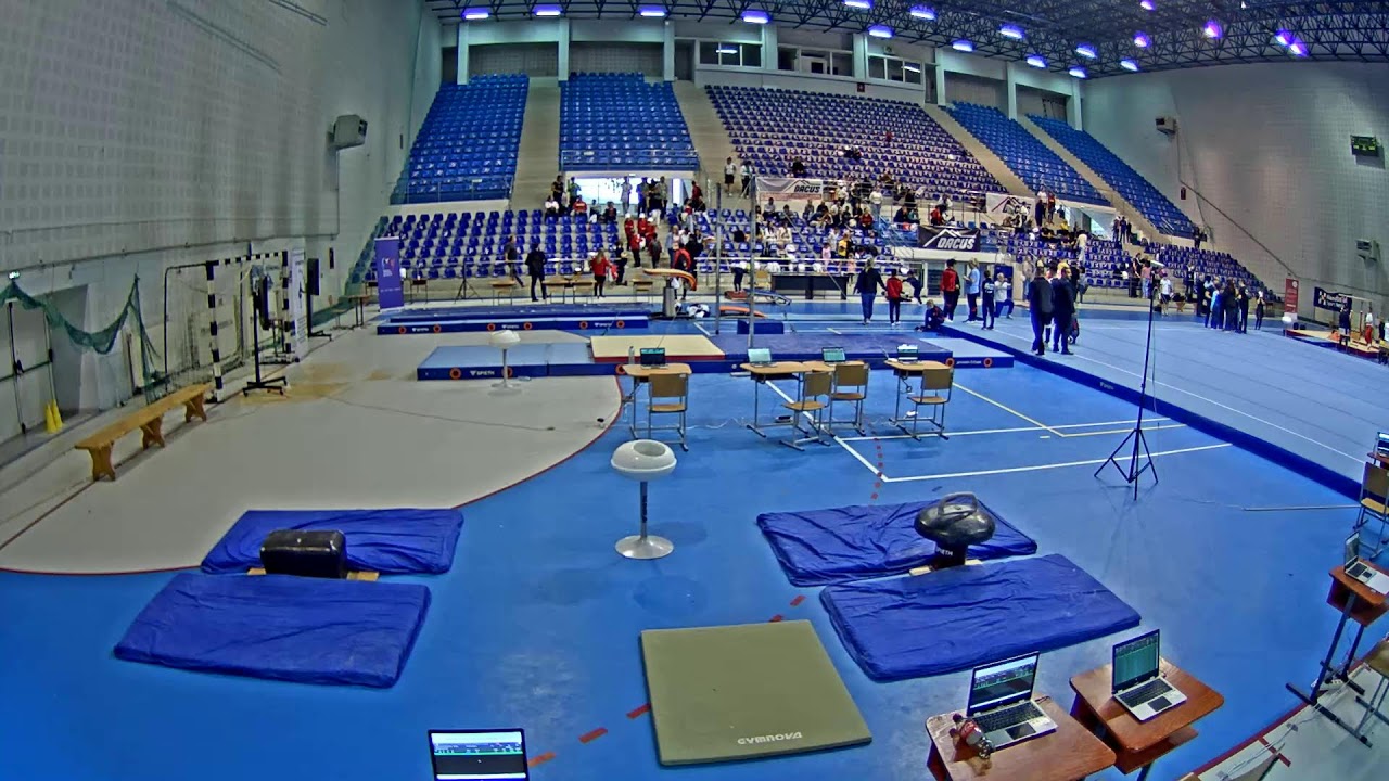 Cal cu Manere / Ciuperca - Campionatul National Individual si pe Echipe ...