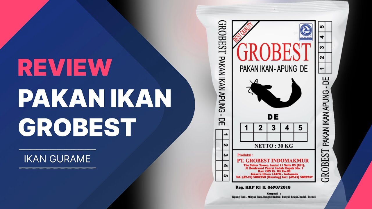 Review Pakan Ikan Apung Grobest Untuk Ikan Gurame Protein 30-32% - YouTube