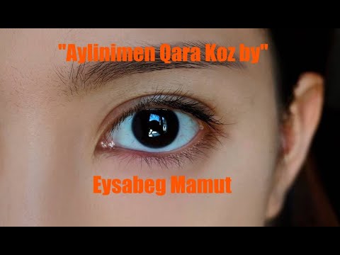 Uyghur song "Aylinimen Qara Koz by" Eysabeg Mamut - YouTube