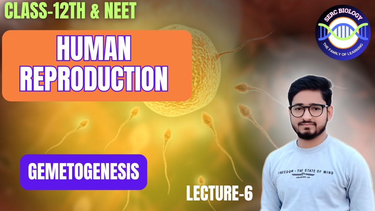 human reproduction class 12 |lec-6| @SERCnet - YouTube