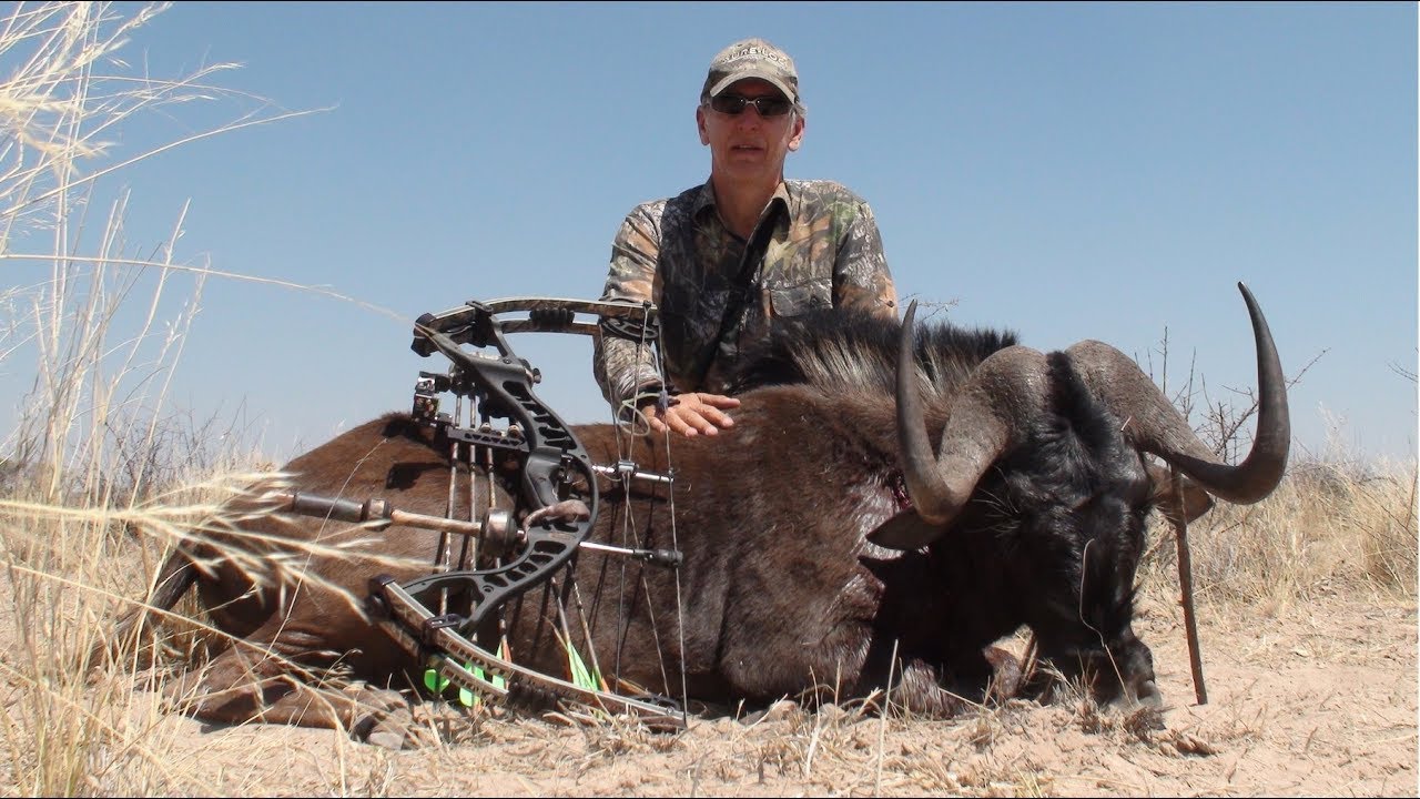 BLACK GNU BOWHUNTING - YouTube