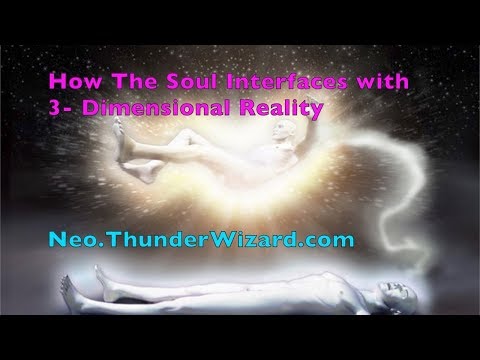 How The Soul Interfaces With 3-Dimensional Reality - YouTube
