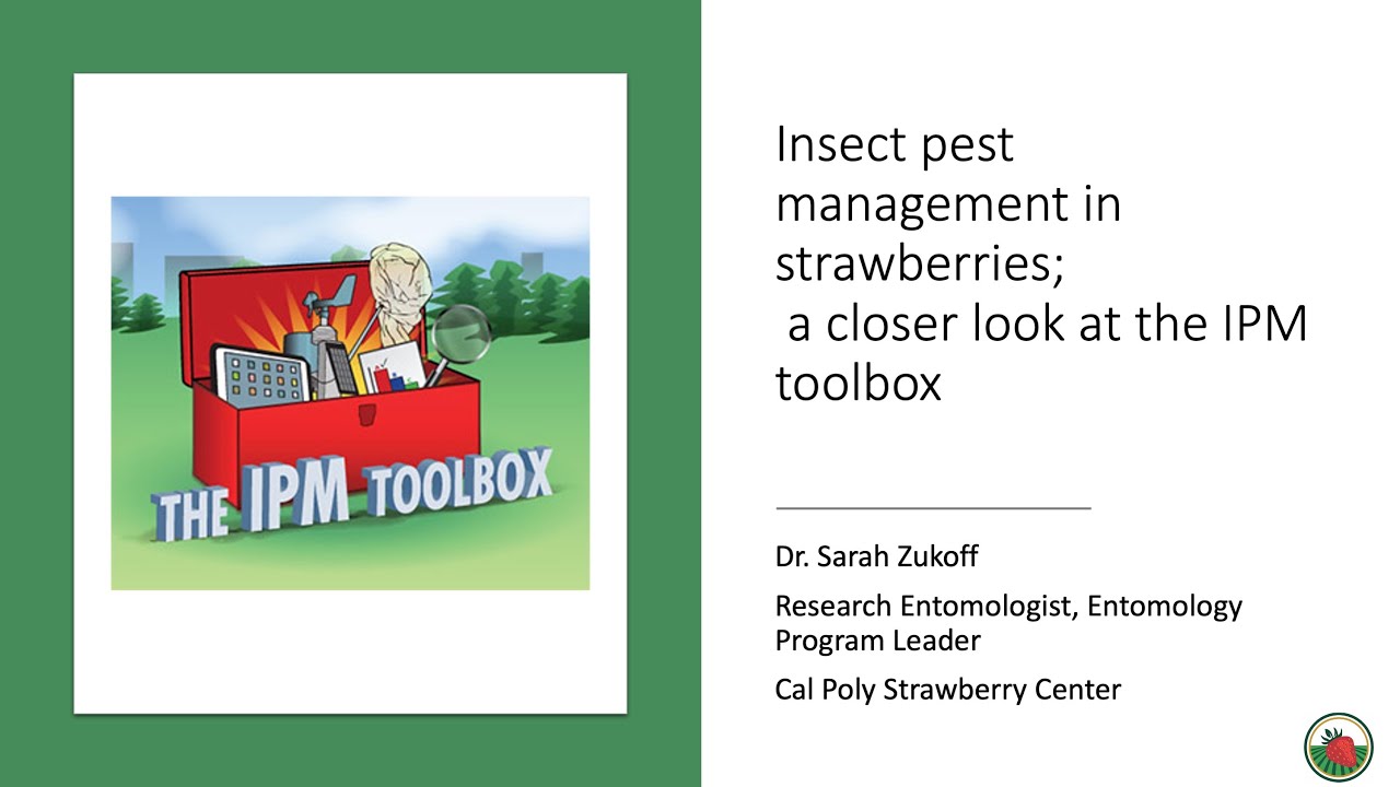 Insect pest management in strawberries: A closer look at the IPM ...