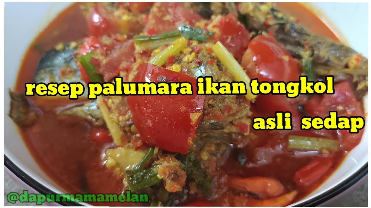 RESEP ikan tongkol palumara yang sangat enak yang super enak||resep ...
