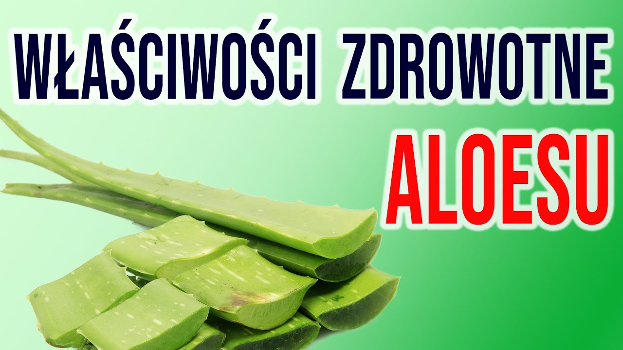 🍀 ALOES - właściwości LECZNICZE i zastosowanie. Jak wybrać sok z Aloe ...