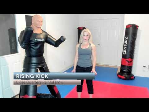 Rising Kick (groin kick)