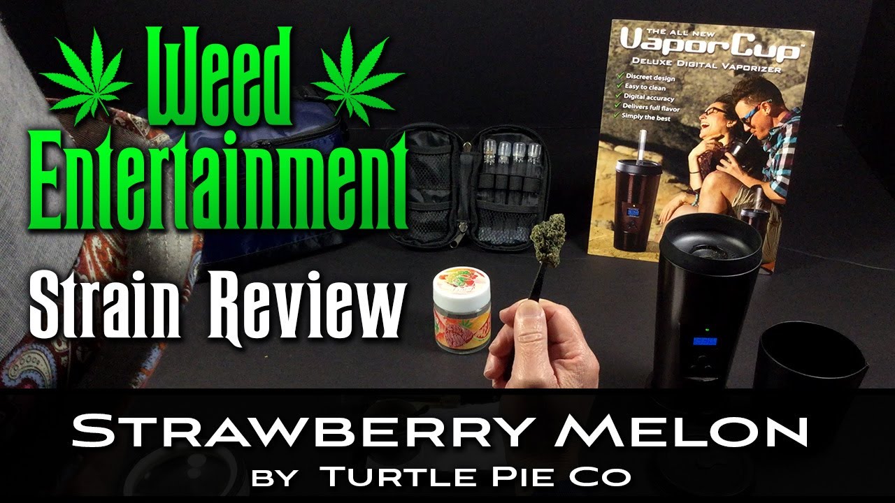 Strawberry Melon - Hybrid - by Turtle Pie Co. - Strain Review - from ...