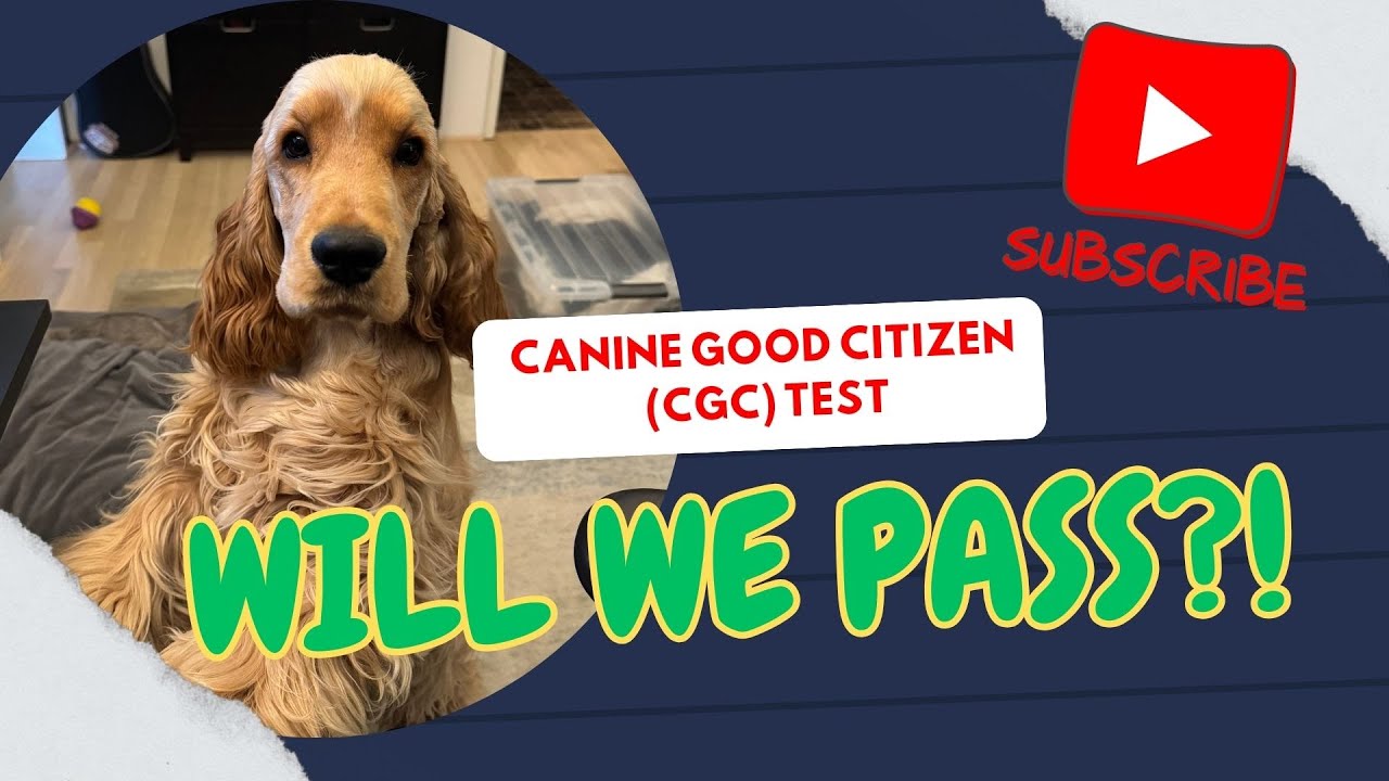 Oliver Takes The CGC Test - YouTube