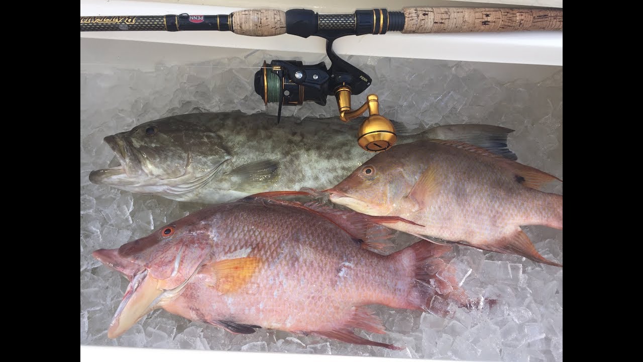 2017 - Episode 12 - Key Largo Patch Reefs - YouTube