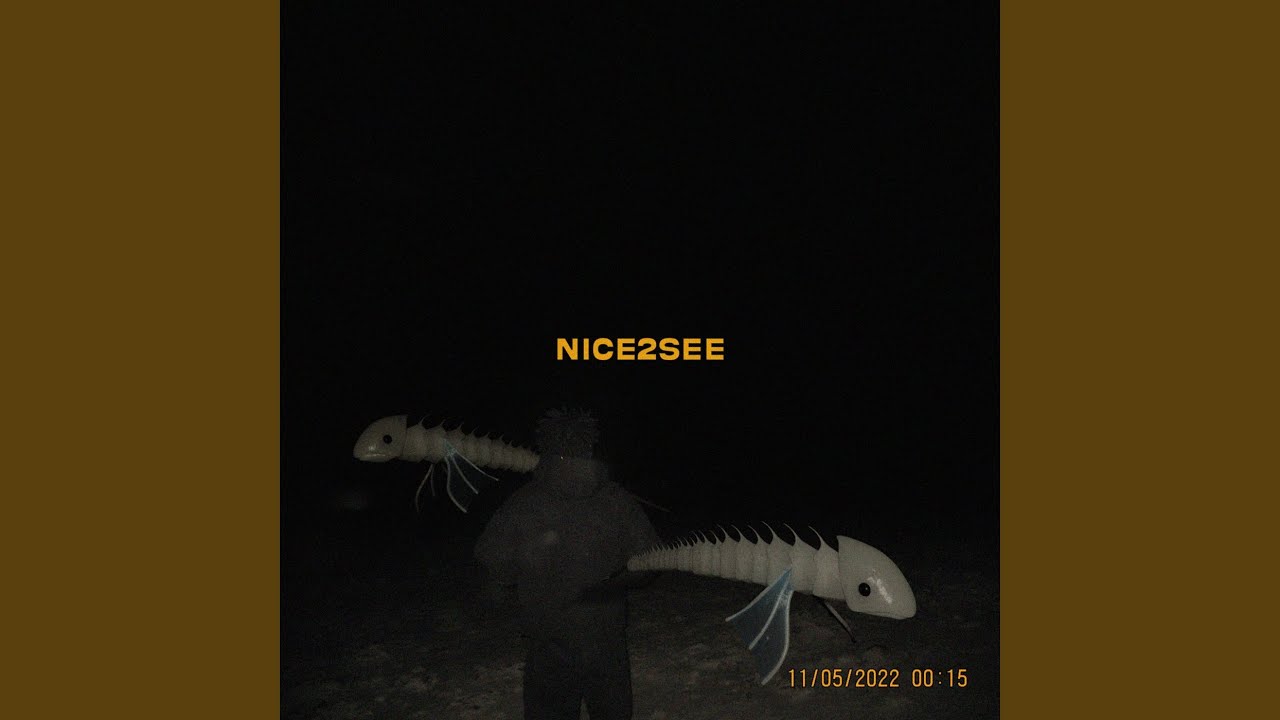 Nice 2 See - YouTube