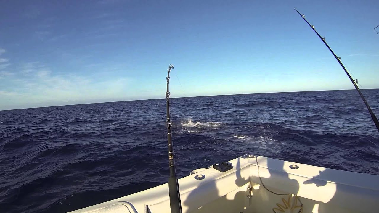 Marlin fishing Mexico 2014 - YouTube