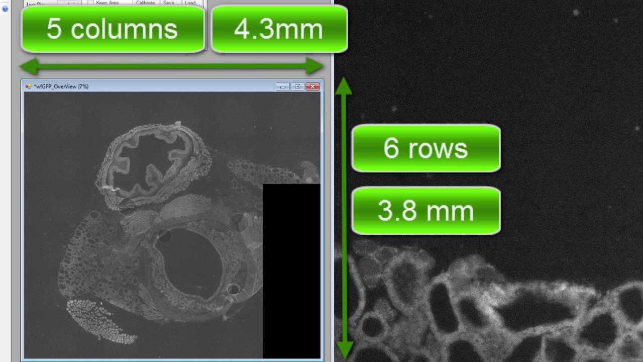 VisiView ScanSlide Custom Region - YouTube