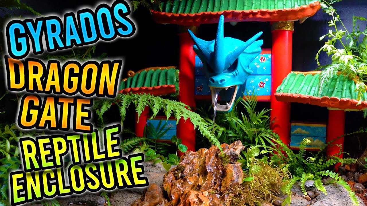 Gyrados Dragon Gate Reptile Enclosure! | 2024 Snake Discovery Build-off ...