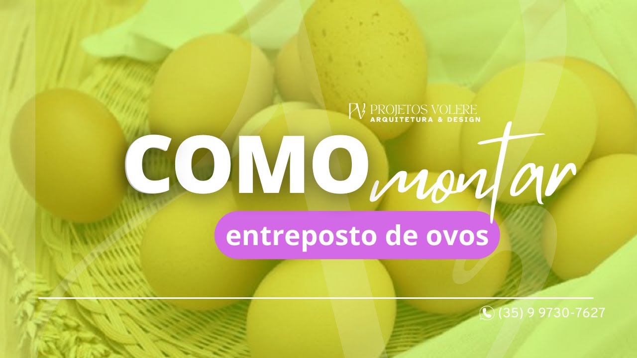 Como Montar Entreposto de Ovos - YouTube