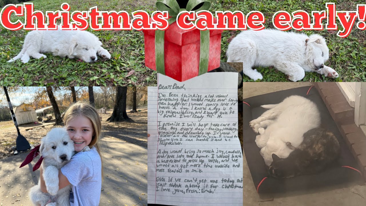 Christmas came early for Embri! - YouTube