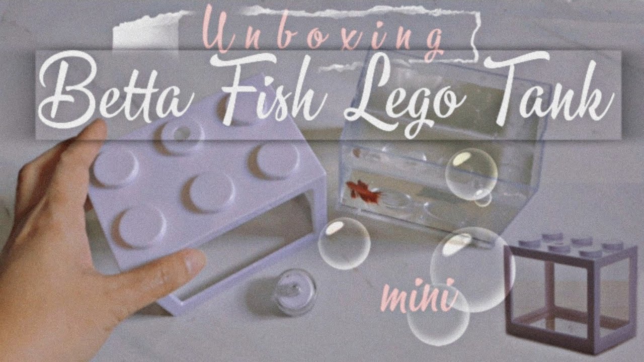Unboxing Betta Fish Mini Lego Tank + Set Up|Its MarLah - YouTube
