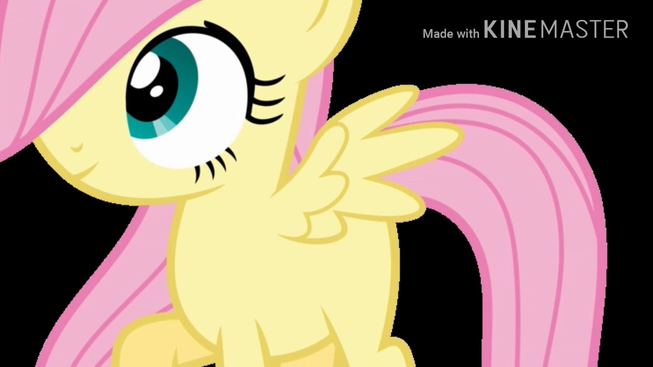Mlp Fluttershy (fight song) - YouTube