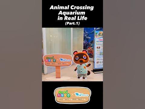 The REAL LIFE Animal Crossing Aquarium (part1) - YouTube
