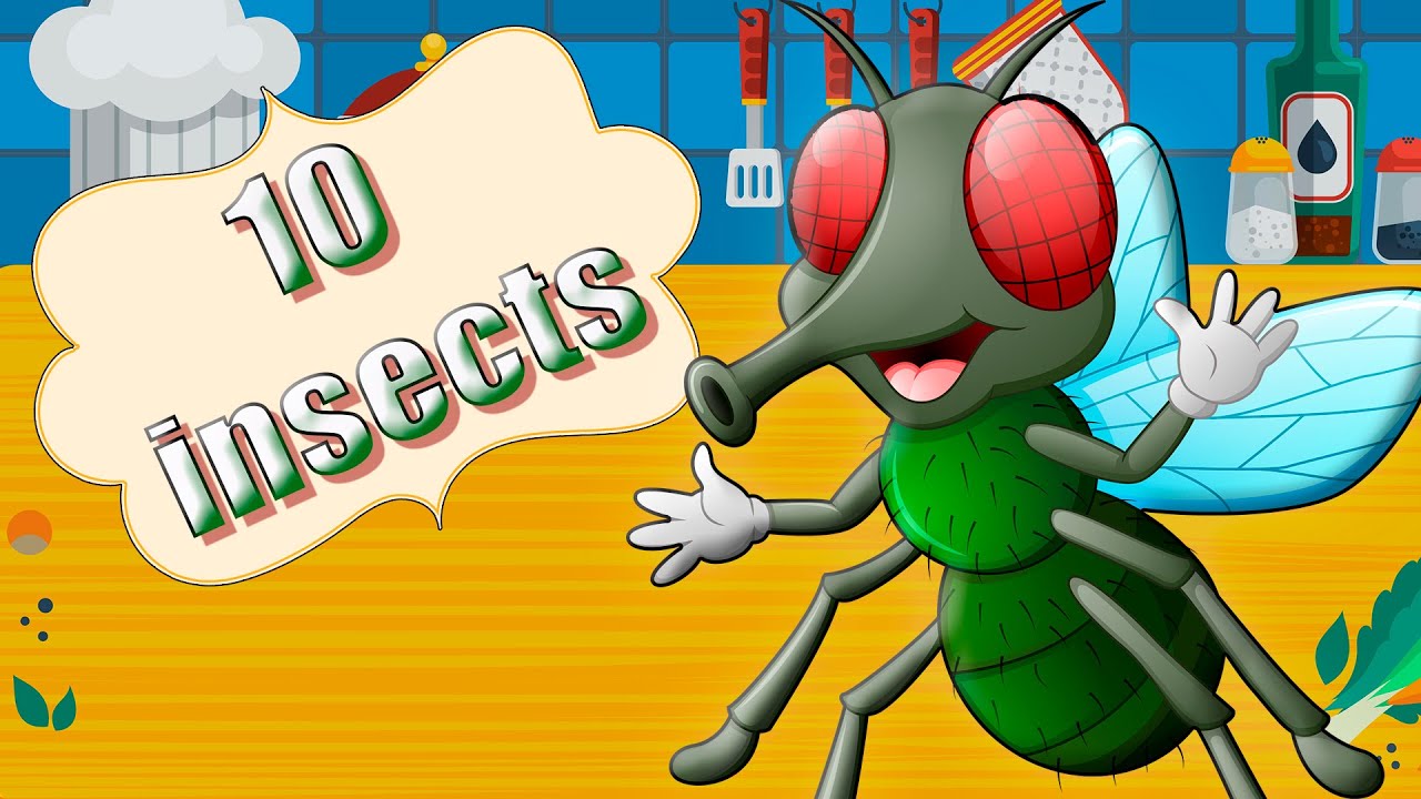 10 Insect on TV Let's read with Leo! - YouTube