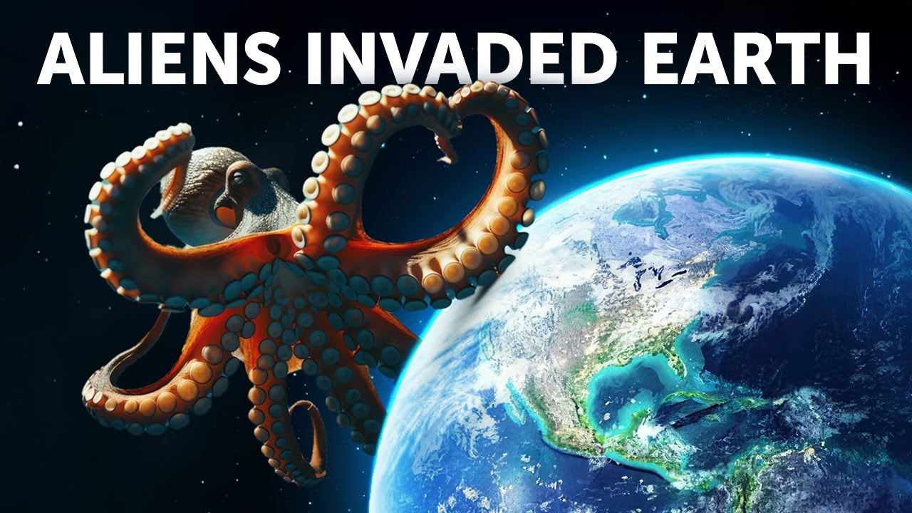 NASA Scientists Are Almost Certain Octopuses Are Aliens - YouTube