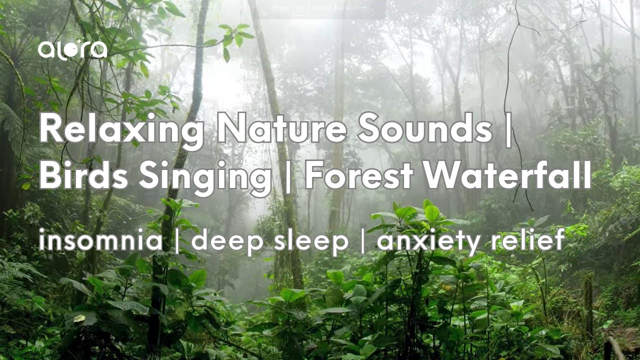 Relaxing Nature Sounds - Birds Singing, Forest Waterfall for Sleep ...