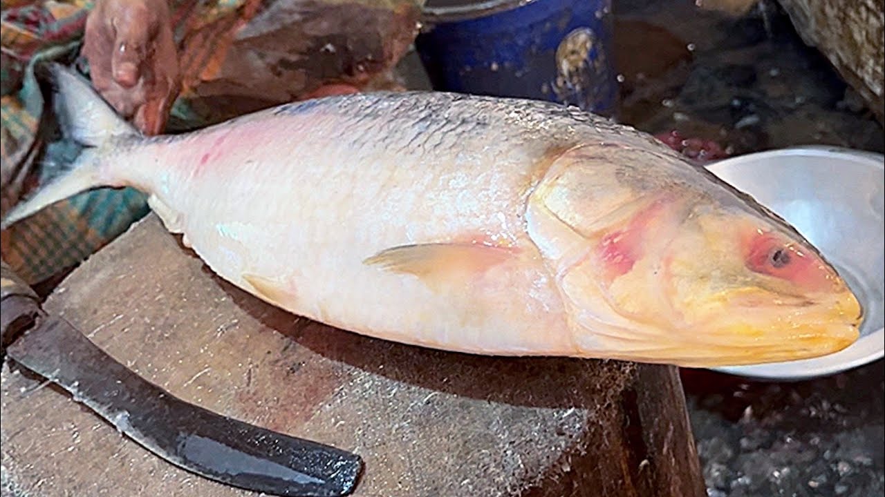 3 Kg Size Big Hilsa Fish Cutting In Fish Market Bangladesh | Fish ...