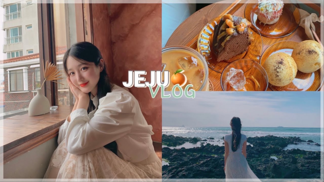 Vlog 제주 당일치기 여행🍊 함덕 And 삼양여행🌴 제주도가 언제부터 고양이섬이었던가🐈🤍 Youtube