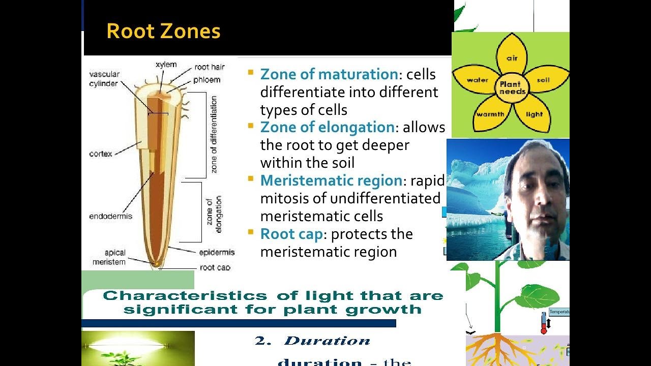 Phases and condition of growth chp 19 2nd year Lecture by Ishtiaq ...