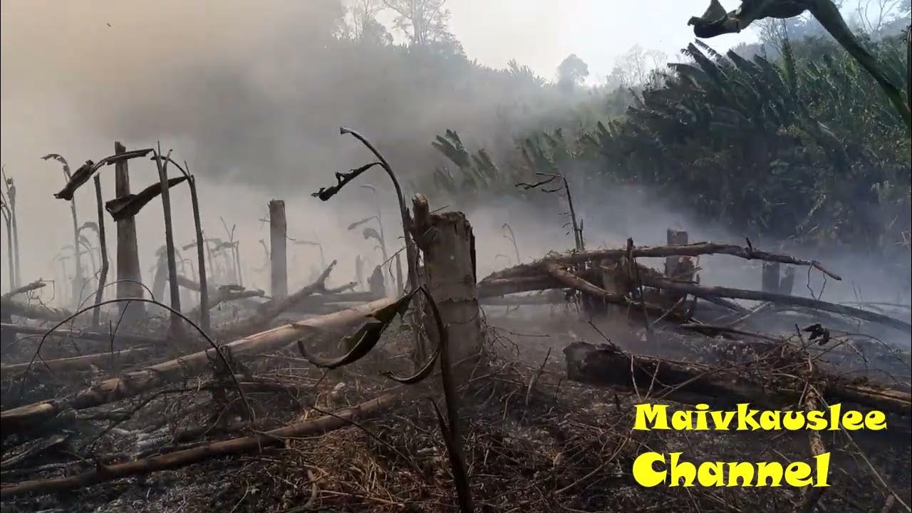 hnub no tuaj mus hlawv teb tshav ntuj nrig kho siab khuav xwb os # Maiv kaus lee channel - YouTube