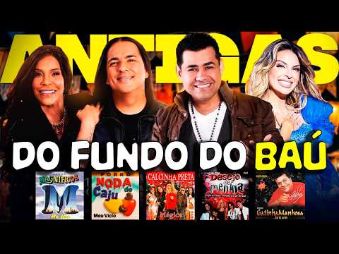 AS MAIS LINDAS DO FORRÓ (ESPECIAL ROMÂNTICAS) Desejo de Menina, Magníficos, Libanos, Calcinha Preta