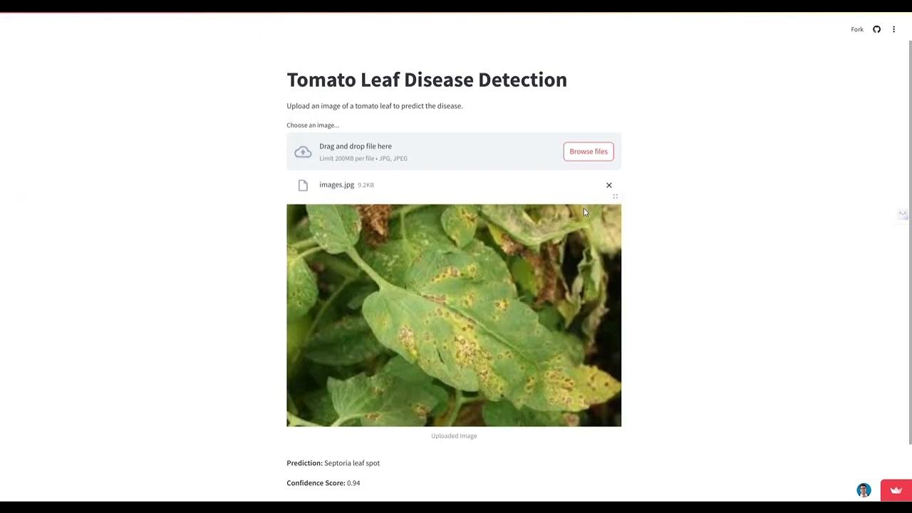 Tomato Leaf Disease Detection using Pytorch - YouTube