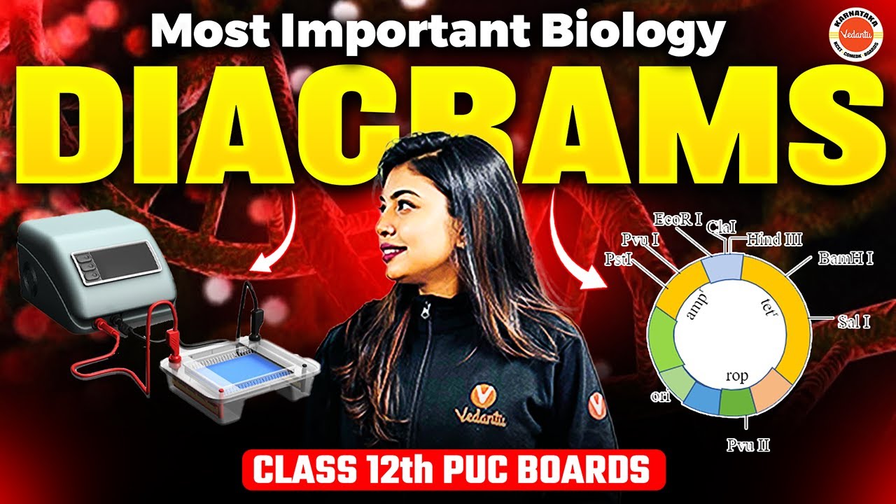 🔴Most Important Diagram Of Biology For Class 12th PUC and KCET 2025 | V ...