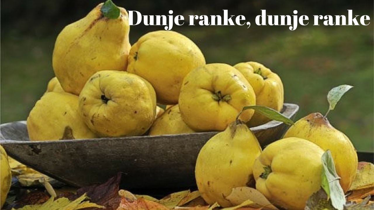 Decije pesmice - Dunje ranke - YouTube