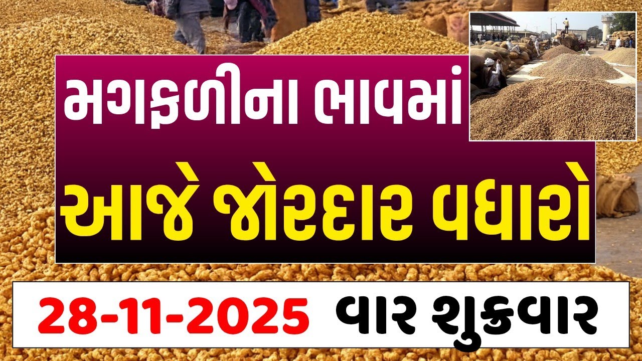 🔥મગફળીના ભાવમાં જોરદાર તેજી🔥| 28-11-2025 | magfali na bhav | આજના ...