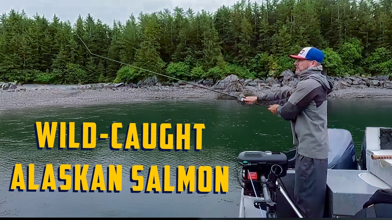 Epic King Salmon Fishing + Snagging Sockeye Salmon with a Big Treble ...